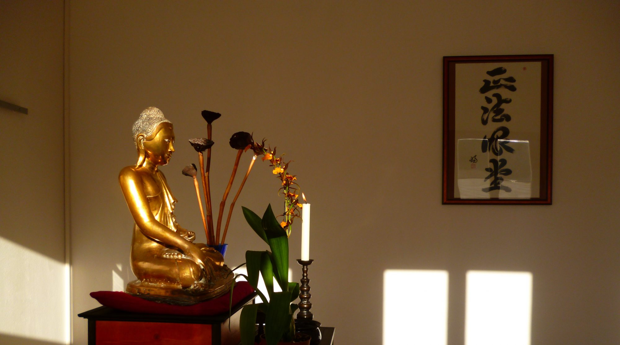 Zen Buddhismus und Meditation - Zen Dojo Shobogendo